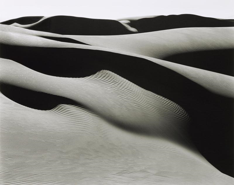 Edward Weston | Dunes, Oceano (1936) | MutualArt