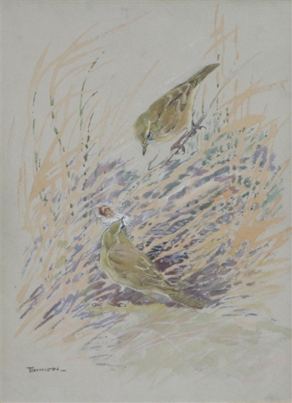 Eric Arnold Roberts Ennion | Chiffchaffs Lining Nest | MutualArt