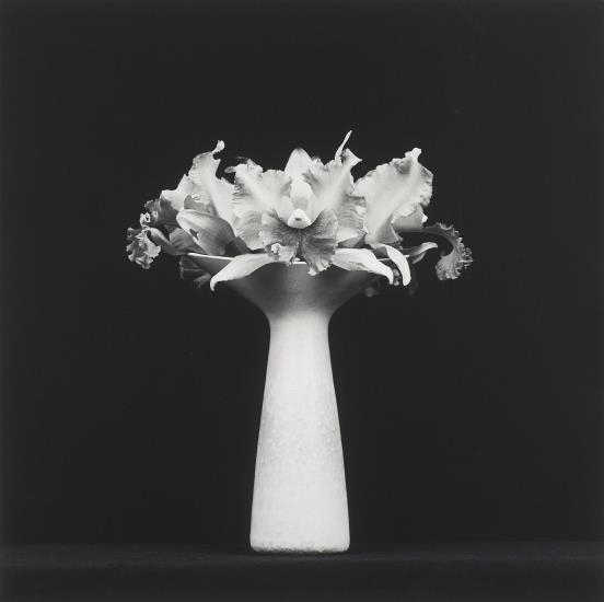 Robert Bledsoe Mayfield | Orchid (1983) | MutualArt