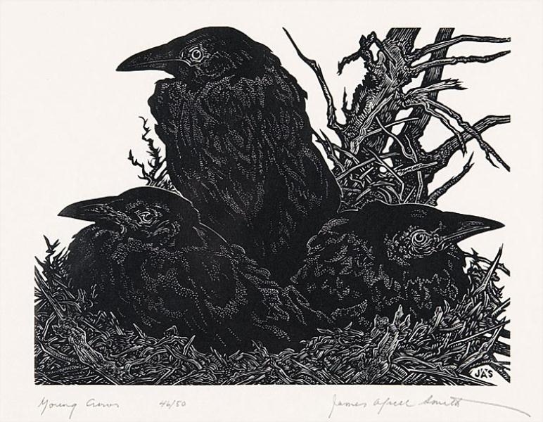 James Agrell Smith | Young Crows | MutualArt