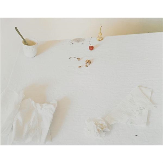 Laura Letinsky | 43 Artworks for Sale on MutualArt