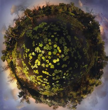 Catherine Nelson | 3 Artworks at Auction | MutualArt