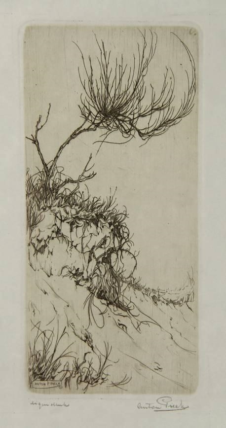 Anton Franciscus‏ Pieck | Duin en brem | MutualArt