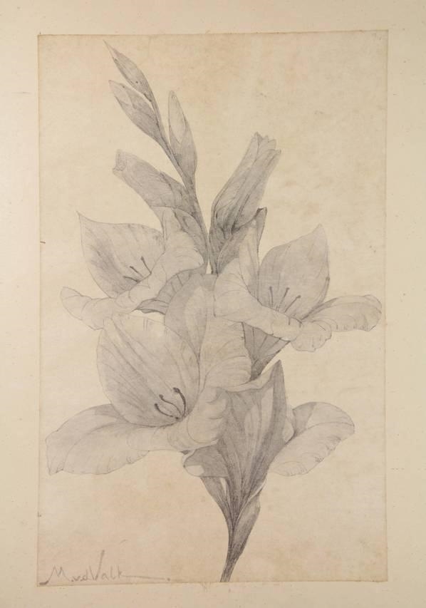 Maurits van der Valk | Lilies | MutualArt