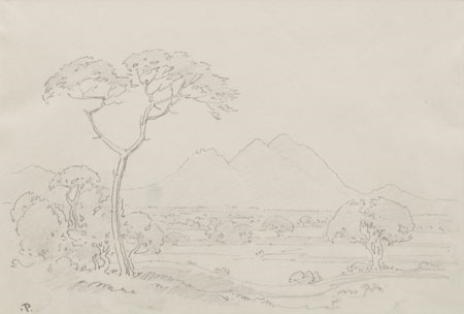 African Landscape Drawing