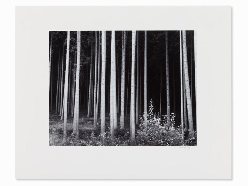 Robert Werling | German Forest (1985) | MutualArt