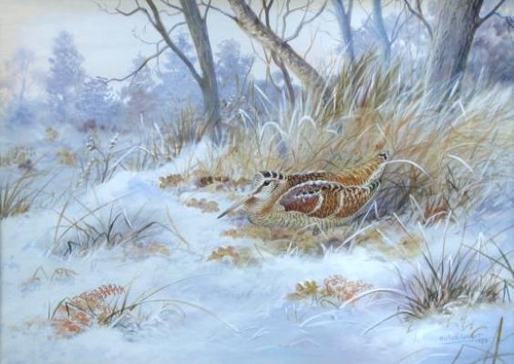 Richard Robjent | Woodcock | MutualArt