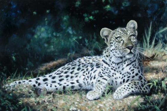Pip McGarry | Reclining Leopard (2011) | MutualArt