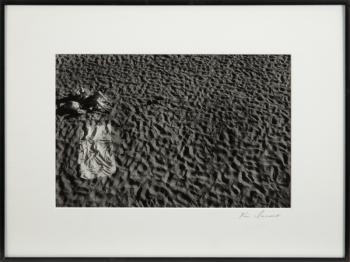 Kim Iacono | beach scenes of Coney Island | MutualArt