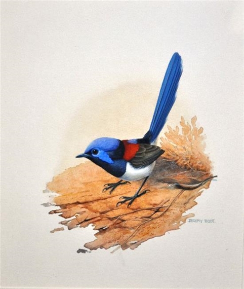 Boot Jeremy | Red Back Wren - Male | MutualArt