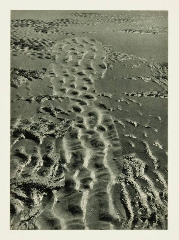 Jiri Kolar | Collage su cartoncino (1961 - 1963) | MutualArt