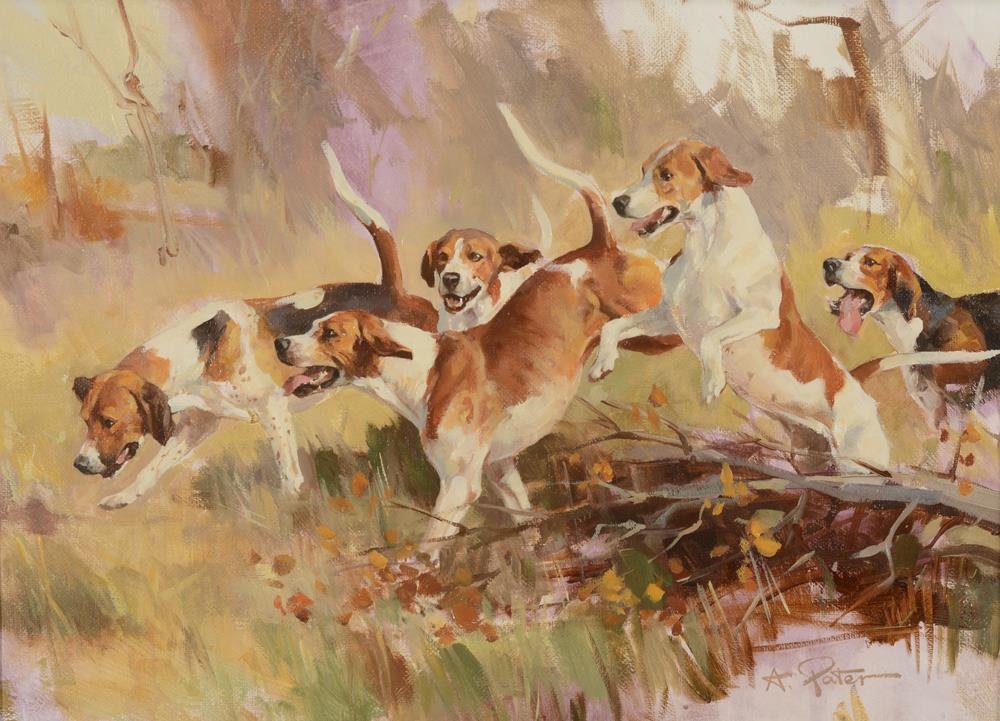 Andre Pater | On The Scent | MutualArt