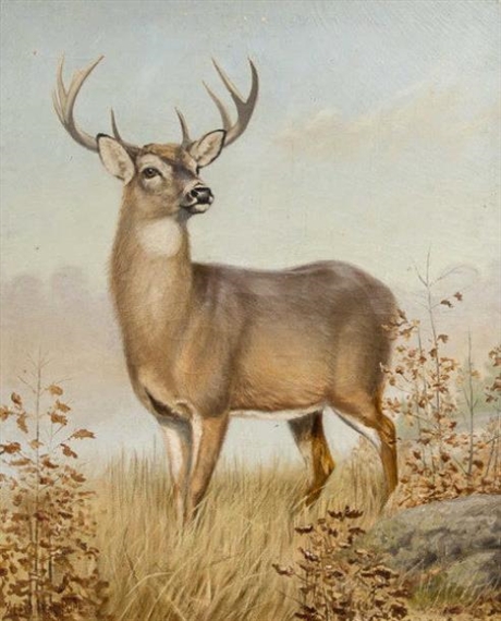 Alexander Pope Jr. | White-Tailed Deer (1908) | MutualArt
