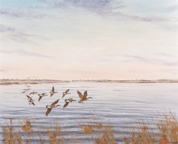 Henry Walker | Canada Geese in Flight | MutualArt