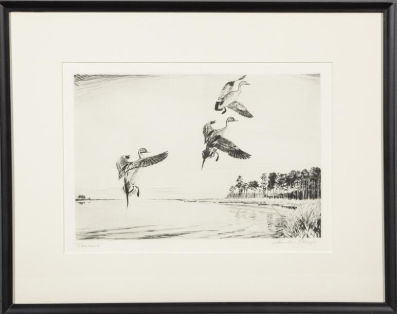 Churchill Ettinger | Pintails | MutualArt