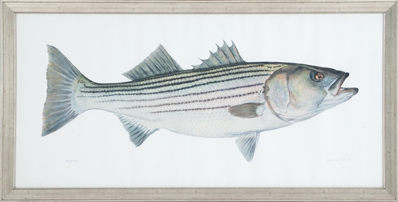 Flick Ford | stripped bass | MutualArt