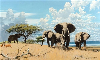 Keith Shackleton | Elephants (1965) | MutualArt