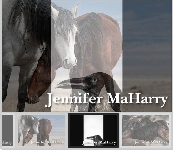 Jennifer MaHarry | Artist Overview | MutualArt