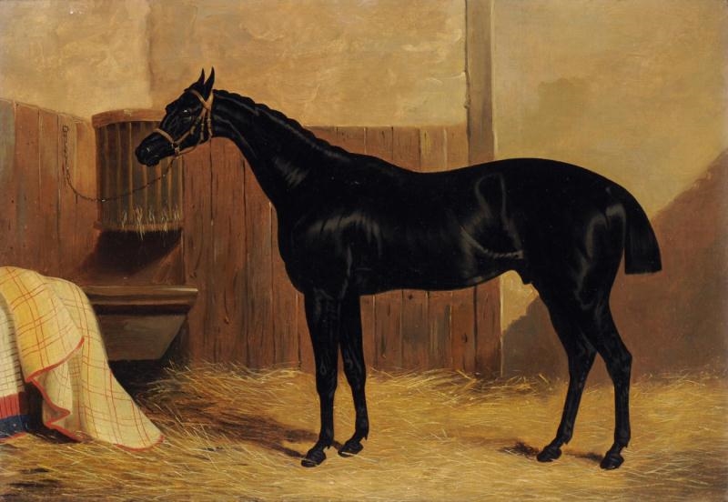 John Dalby | A Portrait of the Horse Jack Spigot in a Stable | MutualArt