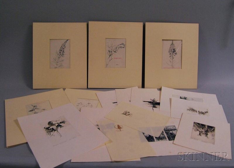 Barry Moser | 46 Works: Botanical and Woodland Images (1974) | MutualArt