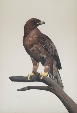 Kenneth Newman | Performance at Auction | MutualArt