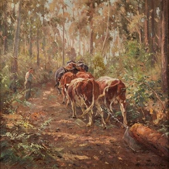 Max Middleton | A Bullock Team Hauling Logs in Gippsland Forest ...