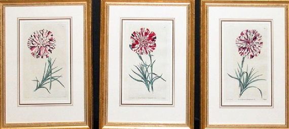 E. D. Smith | 3 WORKS: CARNATION STUDIES | MutualArt