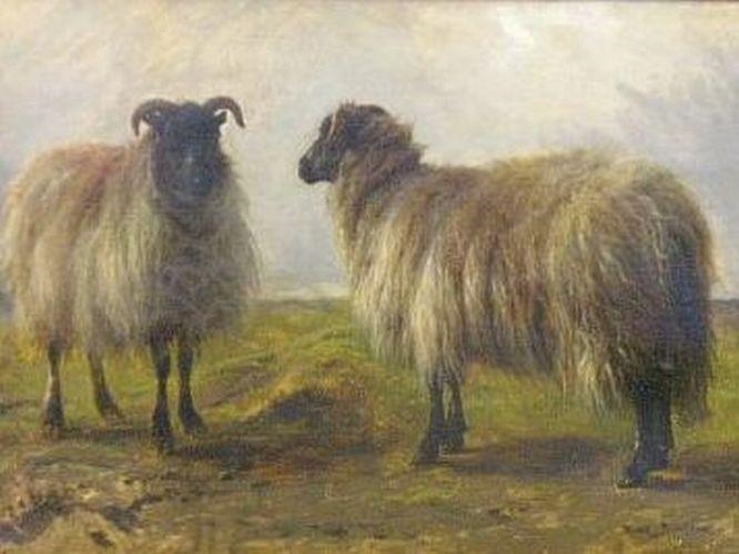 Rosa Bonheur | A Newfoundland | MutualArt