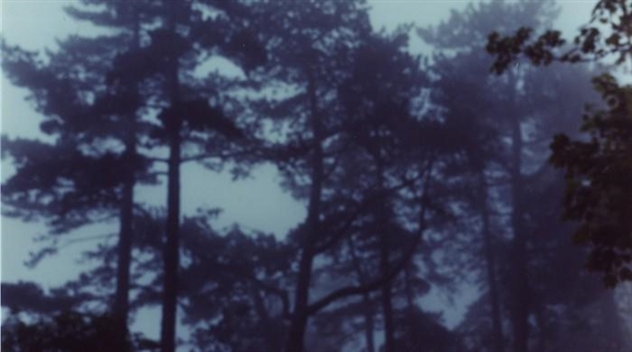 Gary Coyle | 10 Artworks at Auction | MutualArt