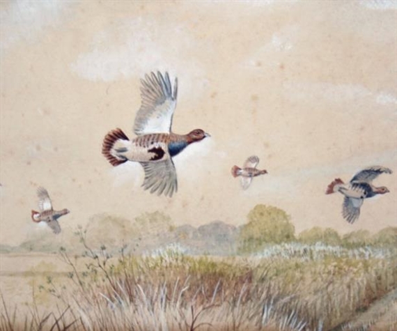 John Cyril Harrison | Partridge in Flight | MutualArt