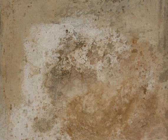 Nigel Skinner | 1 Artworks at Auction | MutualArt