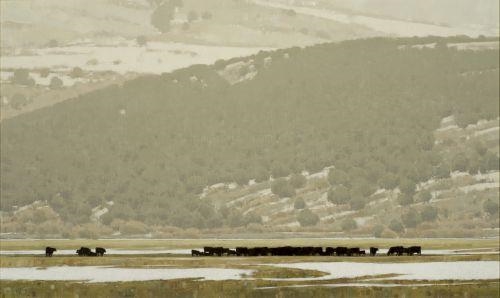 Jared Sanders | Performance at Auction | MutualArt