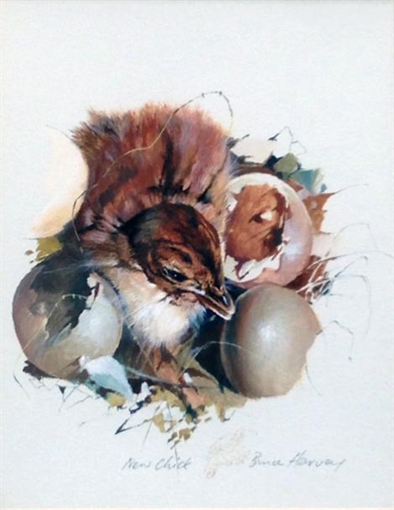 Bruce Harvey | 5 Artworks | MutualArt