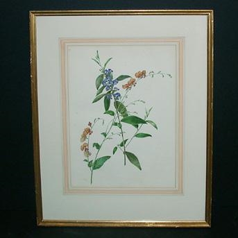 Lady Harding | 2 Artworks at Auction | MutualArt