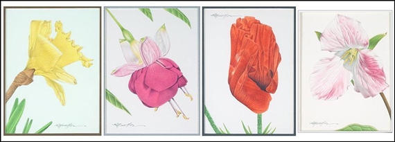 Richard Mueller | 4 Works: Festival; Shadowaltz; Hummerhaven; Origami ...