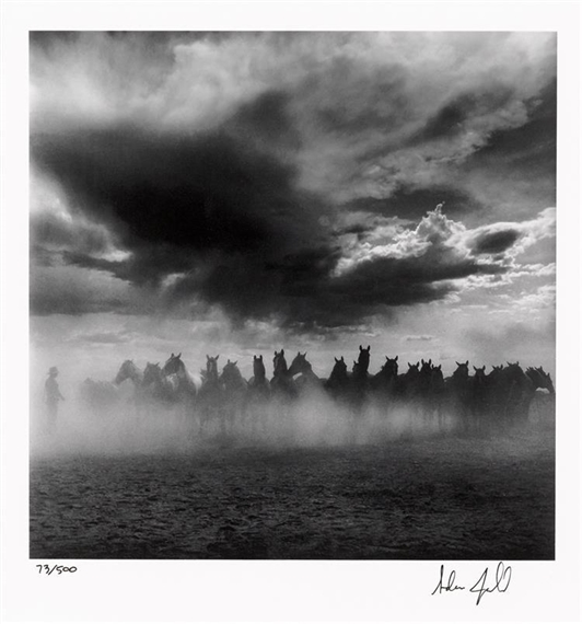 Adam Jahiel | Performance at Auction | MutualArt