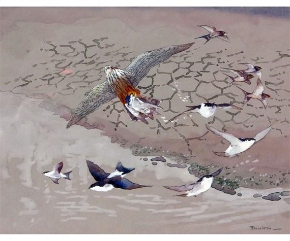 Eric Arnold Roberts Ennion | Hobby Taking a Housemartin with Swallows ...