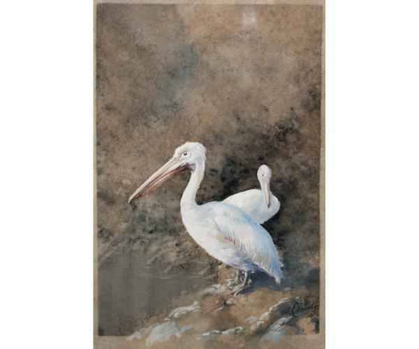 William E. Powell | Pelicans | MutualArt
