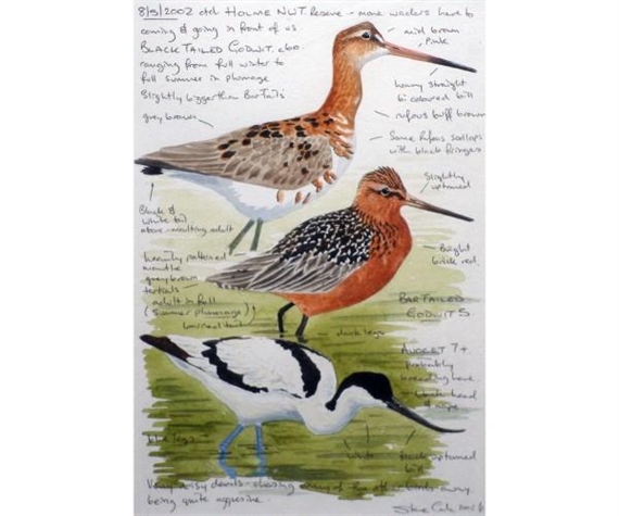 Steve Cale | 6 Artworks | MutualArt