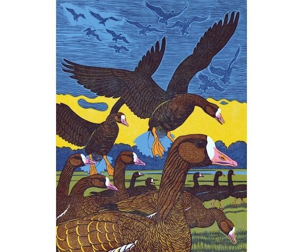 Robert Gillmor | Cley Marsh and its Birds (1996) | MutualArt