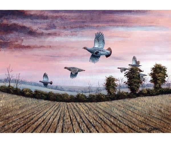 Mark Chester | Sleeping Otters | MutualArt