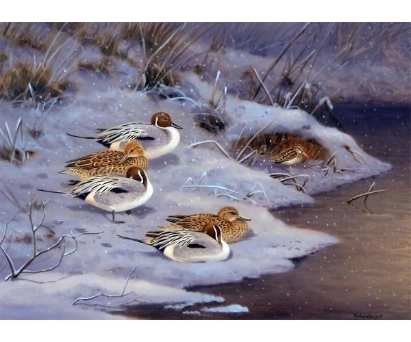 Richard Robjent | Pintails | MutualArt