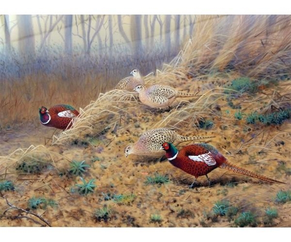 Richard Robjent | Mongolian Pheasants | MutualArt