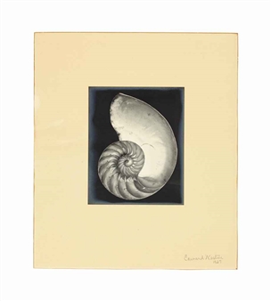 Edward Weston | 2,614 Artworks at Auction | MutualArt