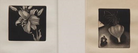 Dan Chrzanowski | Performance at Auction | MutualArt