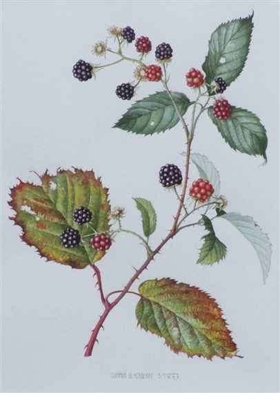 Bridget Gillespie | 6 Artworks | MutualArt