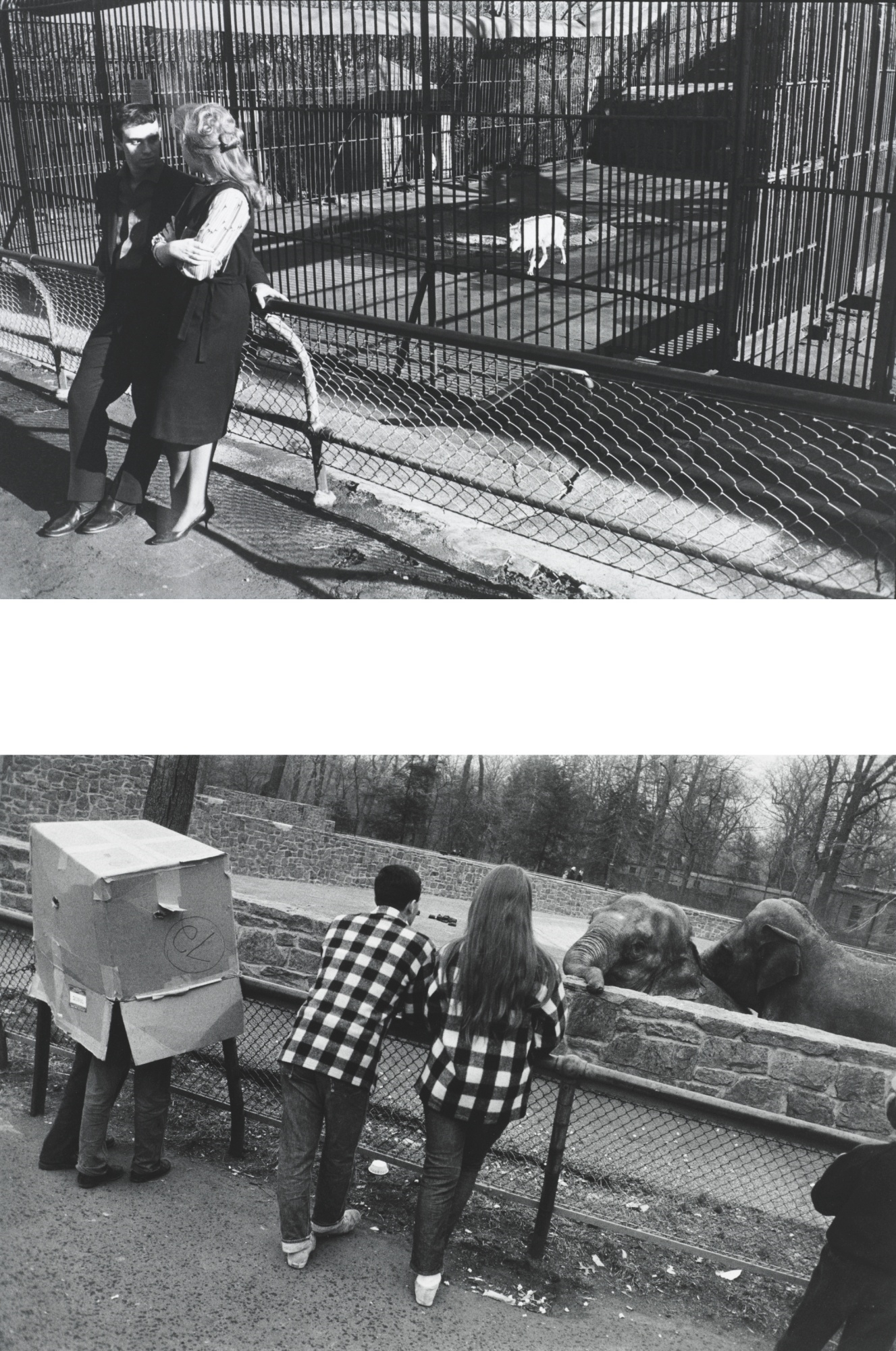 Garry Winogrand The Animals