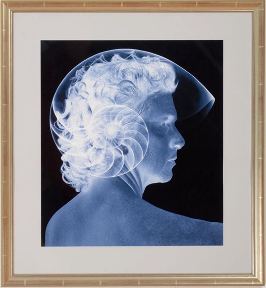 Bryan Whitney | 3 Artworks at Auction | MutualArt