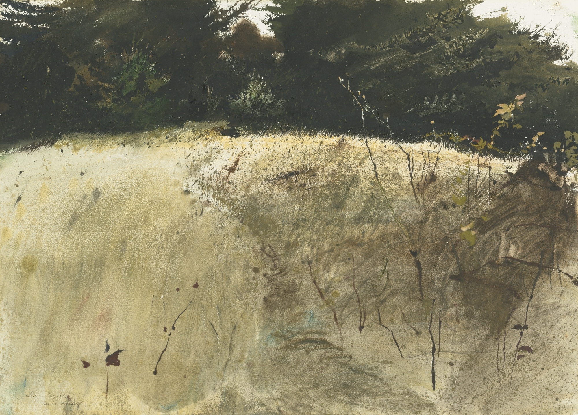 Andrew Wyeth | FALL GRASSES (1955) | MutualArt