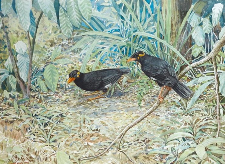 Johari Alias | DUA BURUNG TIUNG (1996) | MutualArt
